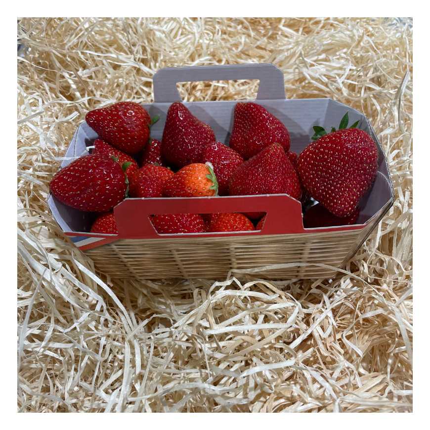 Frais Livré : vente et livraison de produits frais en ligne